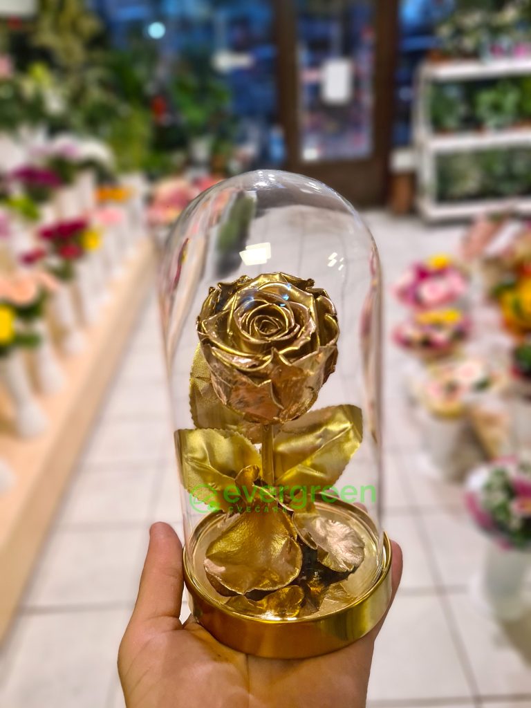 Večna ruža u staklu - 015 - Zlatna ruža - Evergreen